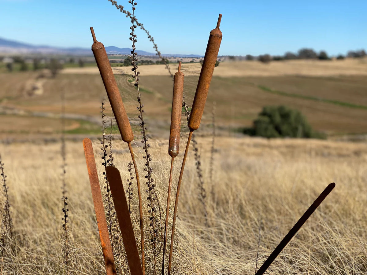 NEW Rust Bull RUSH Stake NOW SHIPPING – The OLDE Farm Store