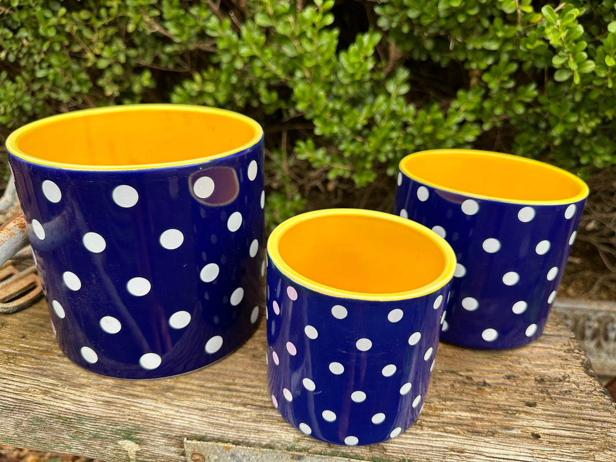 DILLY POT Set of 3 – The OLDE Farm Store